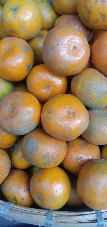 Orange Fruit Comes from Indonesian Arrowroot Stock Image - Image of ...