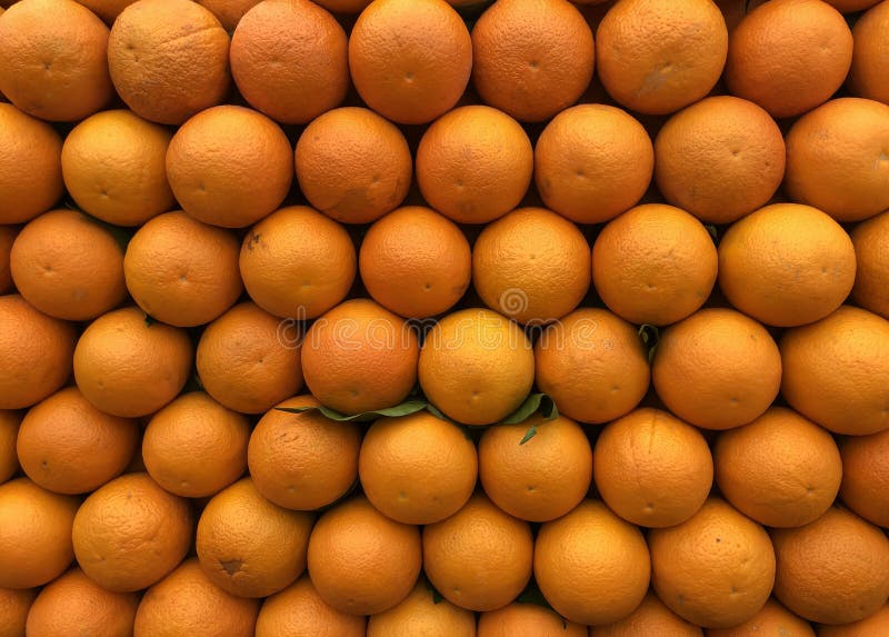 Orange Countertops and Presentation Style Stock Image - Image of ...