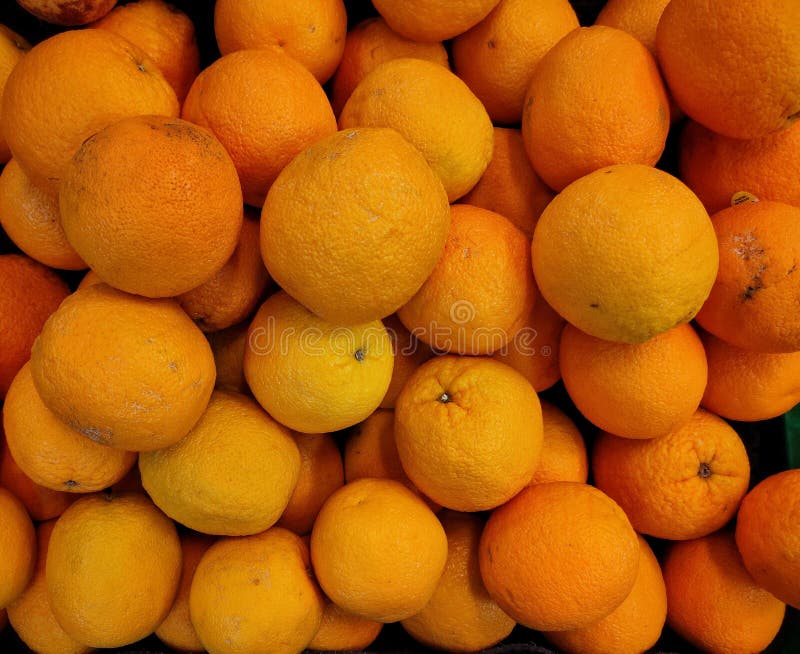 Orange Fruit on Display at Store Stock Photo - Image of diaplay, fruit ...