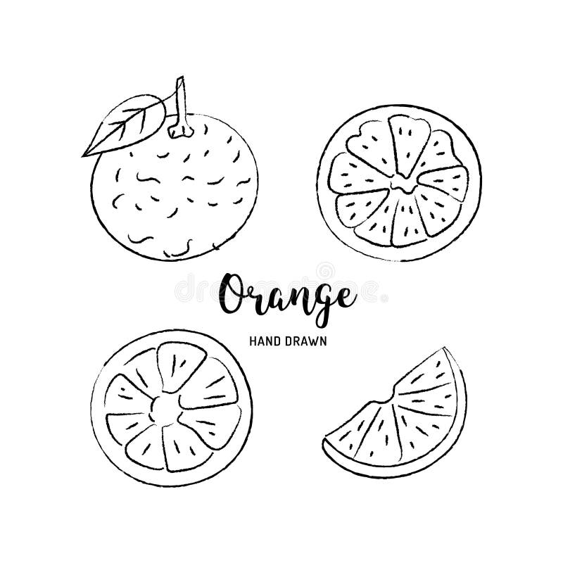 Orange Drawing Outline