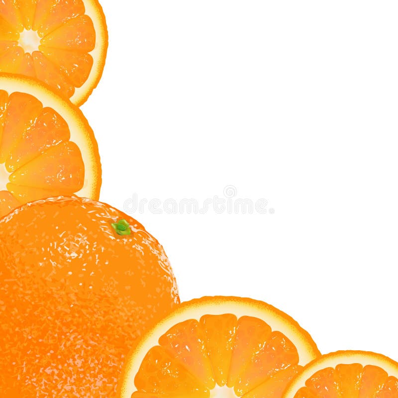 Orange Fruit Frame stock vector. Illustration of sliced - 213000089