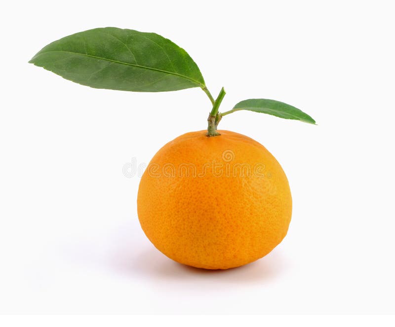 Orange Fruit with Green Leaves Stock Photo - Image of leaf, fruit ...