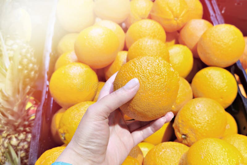 Orange fruit in hand stock image. Image of choosing - 335706835