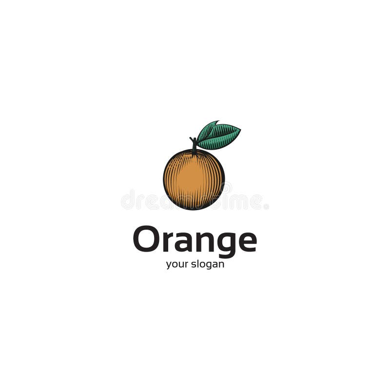 Orange Fruit Hand Drawn Logo Stock Illustration - Illustration of ...
