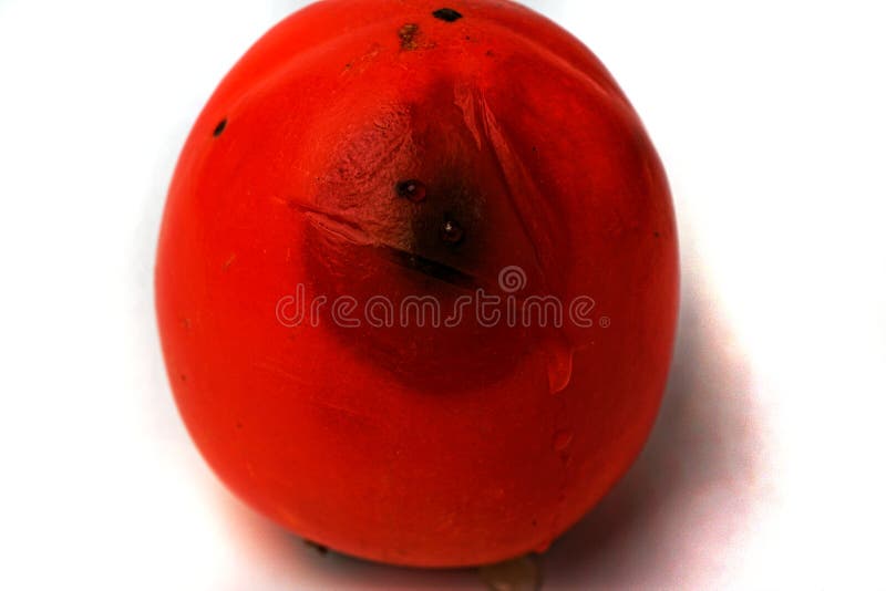 Orange Fruit Isolate on a White Background - Moldy Persimmon. Spoiled ...