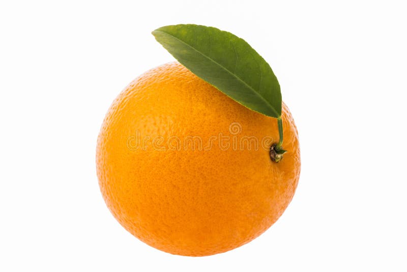 Single Full Orange Fruit stock photo. Image of flavor - 17782472