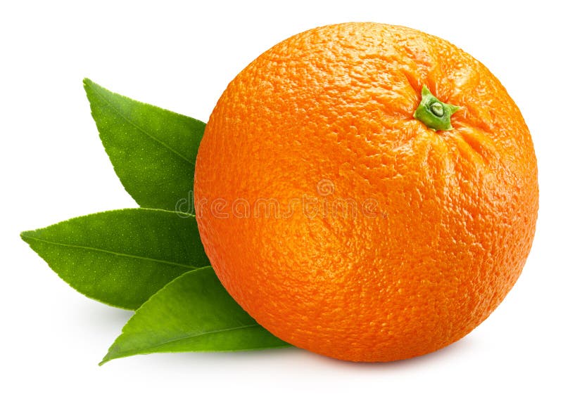 Orange Fruit Isolated on White Background Stock Image - Image of orange ...
