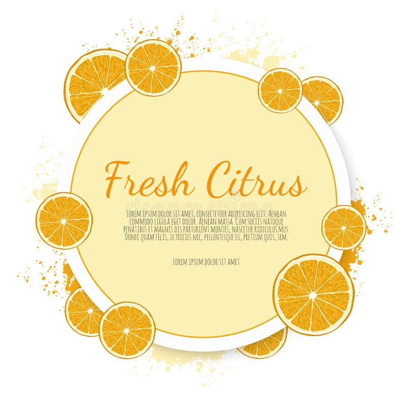 Orange Fruit Label. Vector Citrus Banners Stock Illustration ...