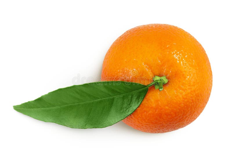 Orange Fruit with Leaf Isolated on White Background. Top View. Flat Lay ...
