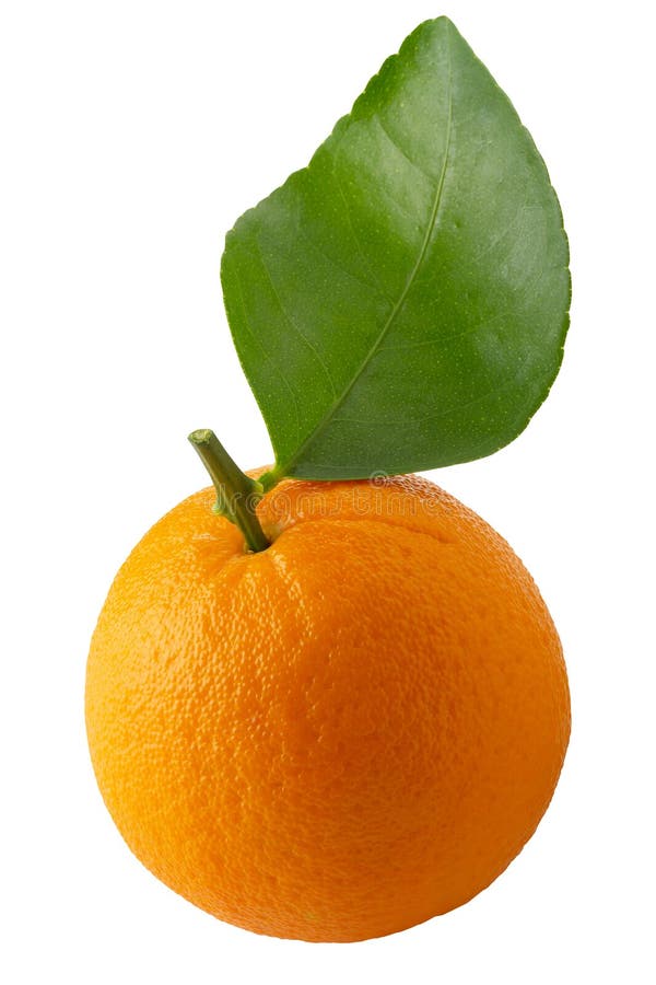 Orange Fruit with Leaves Isolated on a White Background Stock Photo ...