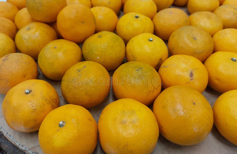Orange fruit stock image. Image of healthy, diet, exotic - 270017711