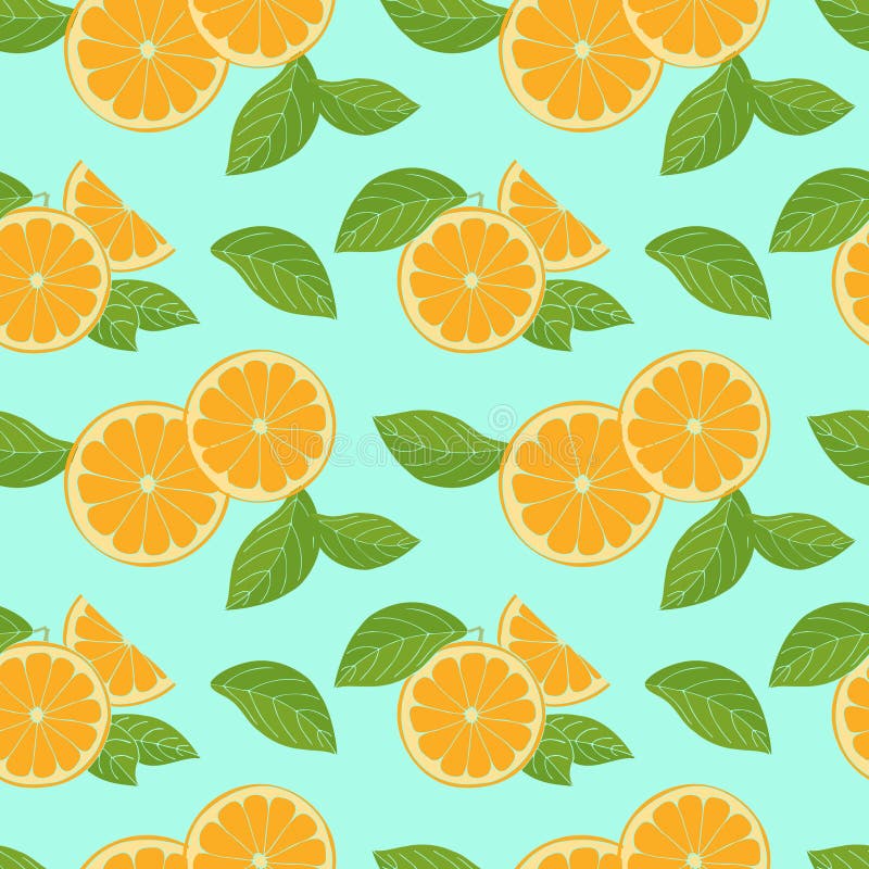 Orange Fruit Pattern, Hand Drawn Coloring Doodle. Stock Vector ...