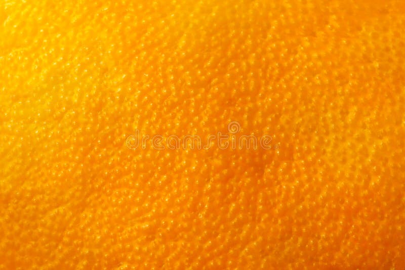 Orange Fruit Rind Natural Background Stock Image - Image of organic ...