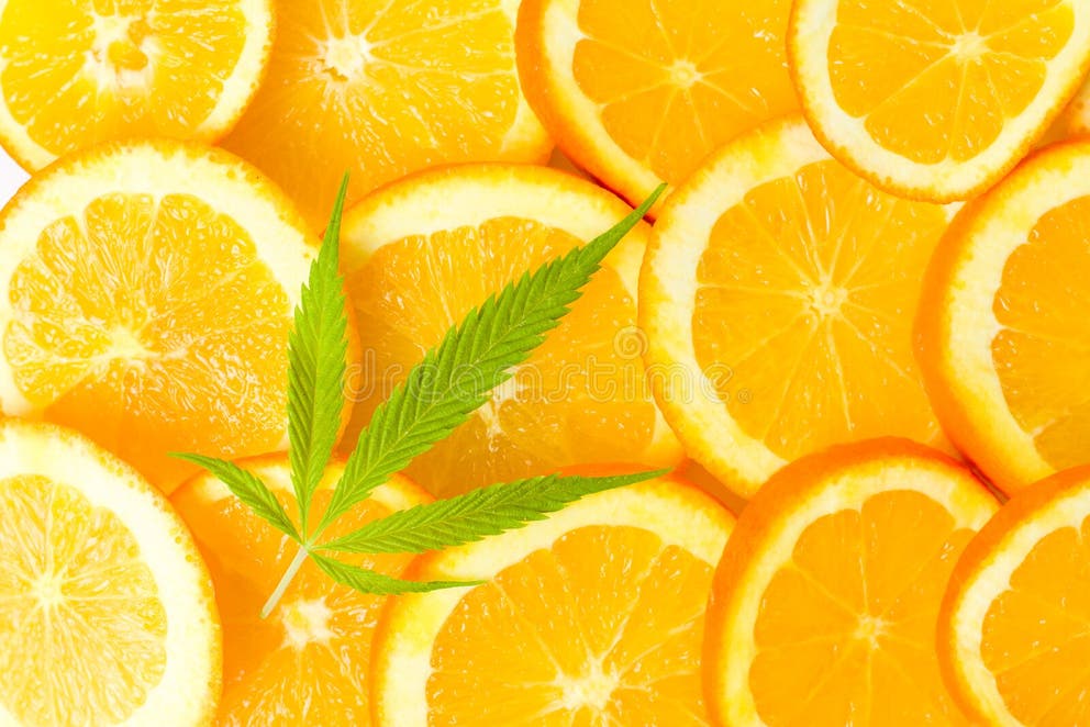 Orange Fruit Slices and Marijuana Leaf Stock Photo - Image of leaf ...