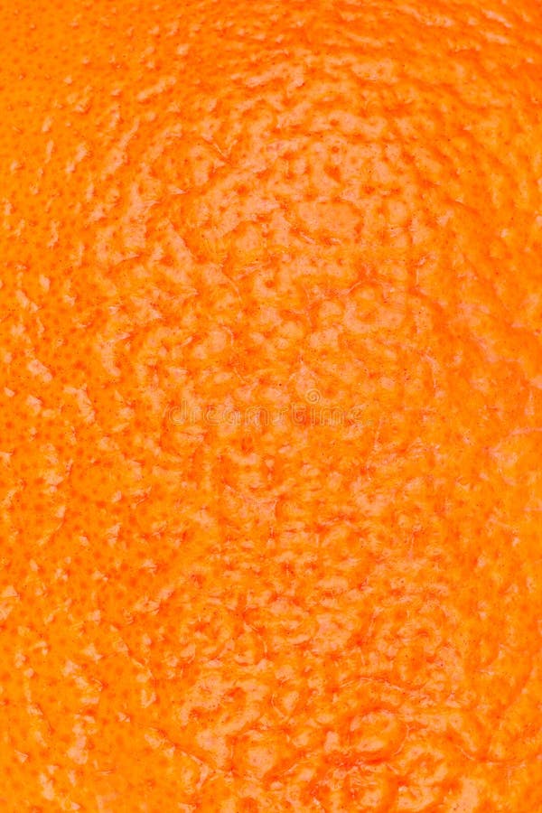Orange fruit texture stock image. Image of pattern, detail - 14077081