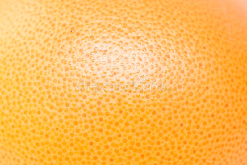 Orange Fruit Texture stock image. Image of concept, minerals - 46869621