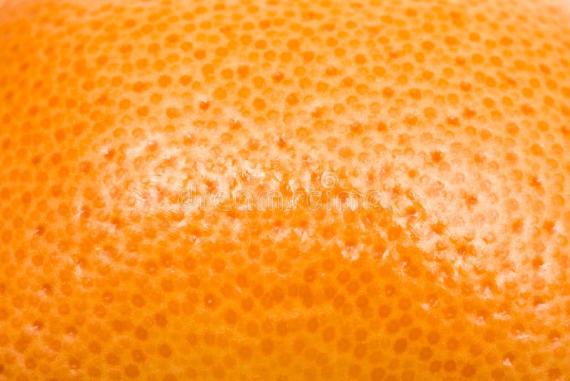 Orange Fruit Texture stock image. Image of gourmet, studio - 36000143
