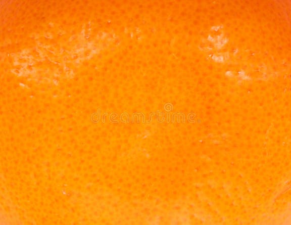 Orange fruit textured stock photo. Image of surface, food - 26461332