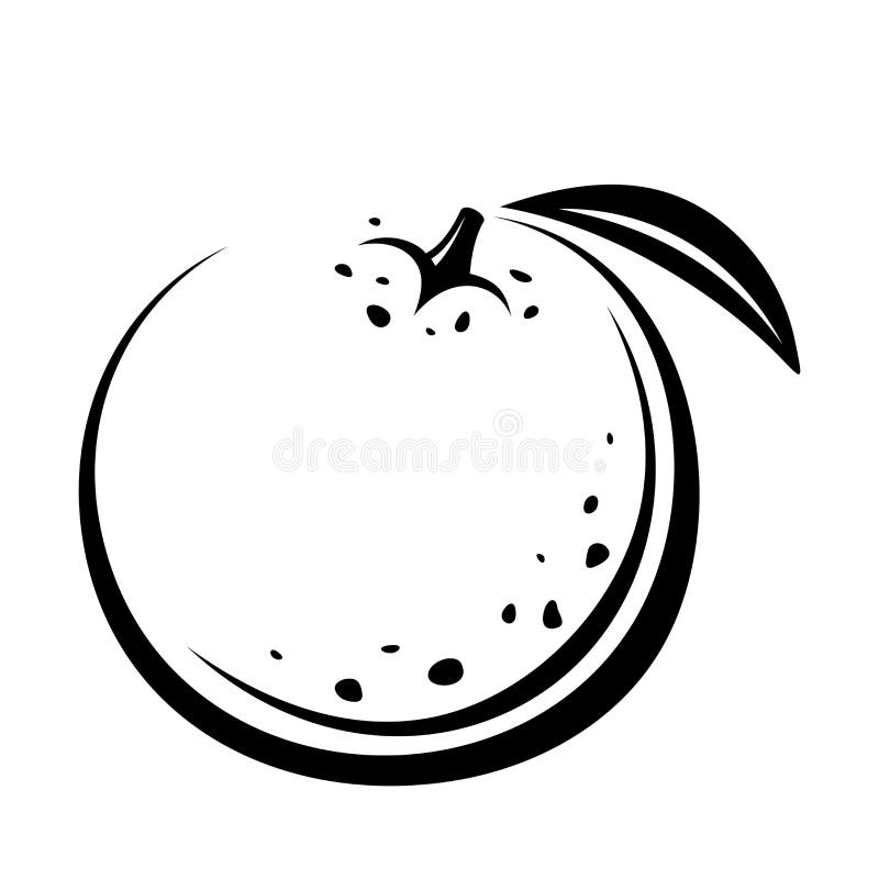 Orange Fruit. Vector Black Contour Drawing. Stock Vector - Illustration ...