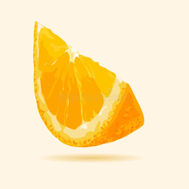 Orange split into pieces. stock vector. Illustration of citrus - 186021207