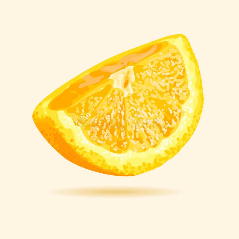 Orange split into pieces. stock vector. Illustration of citrus - 186021207