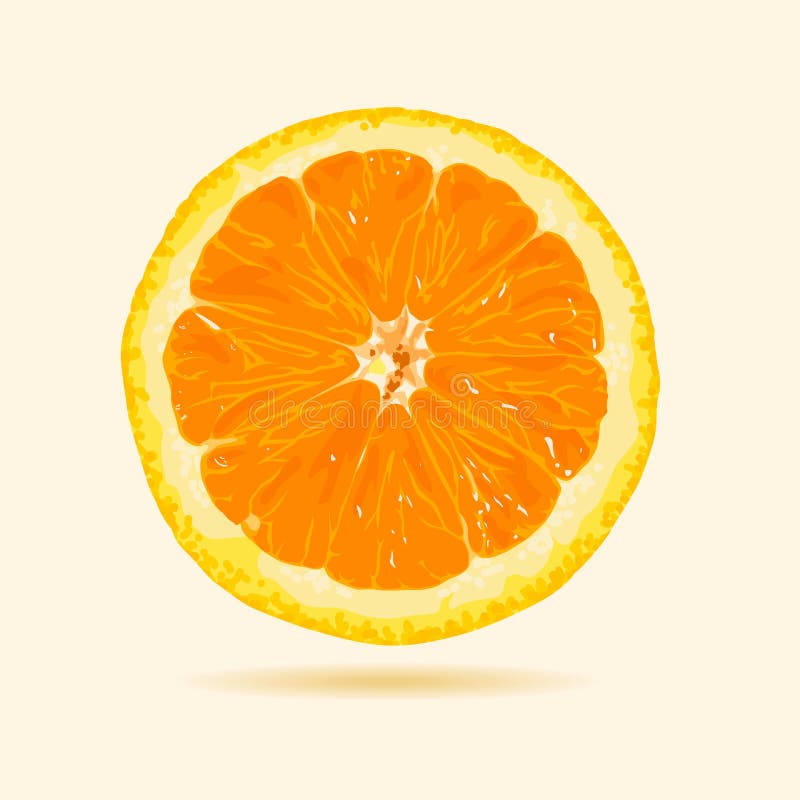 Orange split into pieces. stock vector. Illustration of concept - 186021212