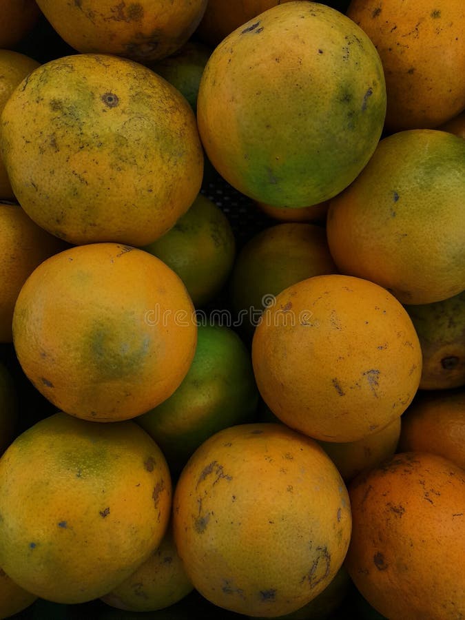 Orange FORANGE FRUIT LOOK CLOSE with FRESH Stock Photo - Image of foods ...