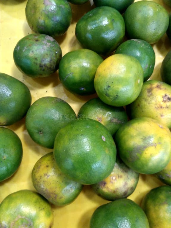 Orange fruits stock image. Image of java, gourd, fruit - 221392353