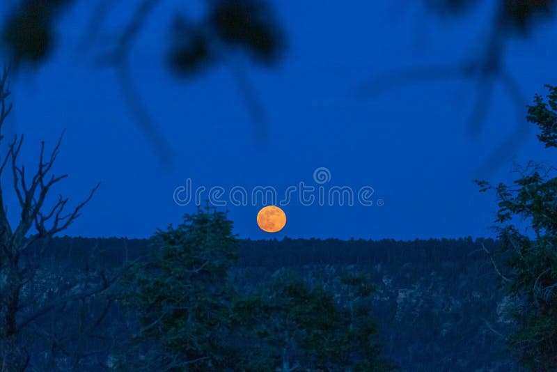 An Orange Full Moon at Dusk in the Desert Stock Image - Image of park ...