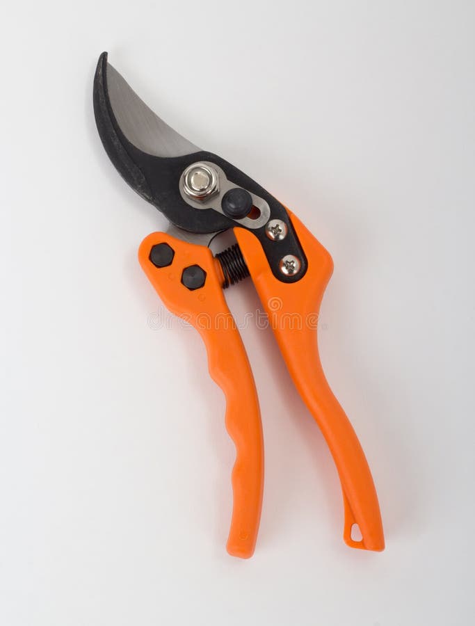 Garden Secateurs Isolated on a White Background. Sicator Garden Shears ...