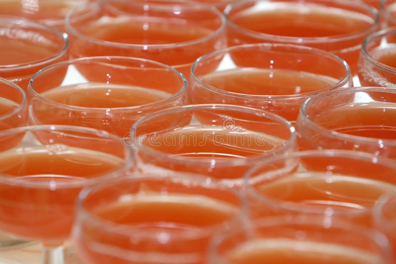 Orange glasses stock photo. Image of party, drinks, intimate - 5405762