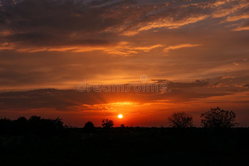 Orange Glow Sky Sunset in the Field Stock Photo - Image of scenic ...