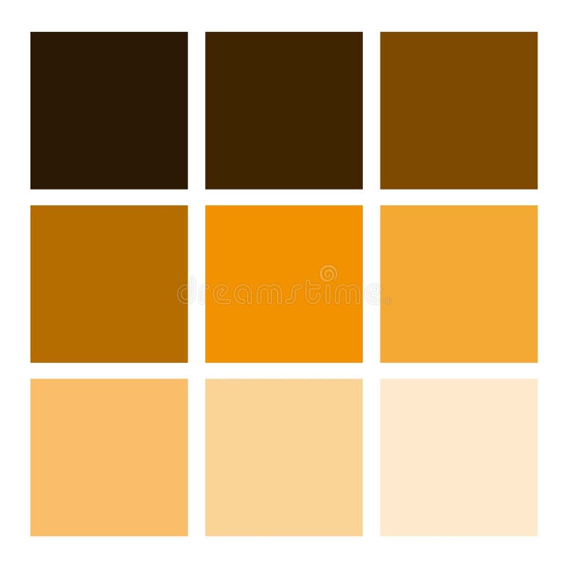 Orange Gradient Palette. Nine Square Swatches. Dark To Light Tones ...