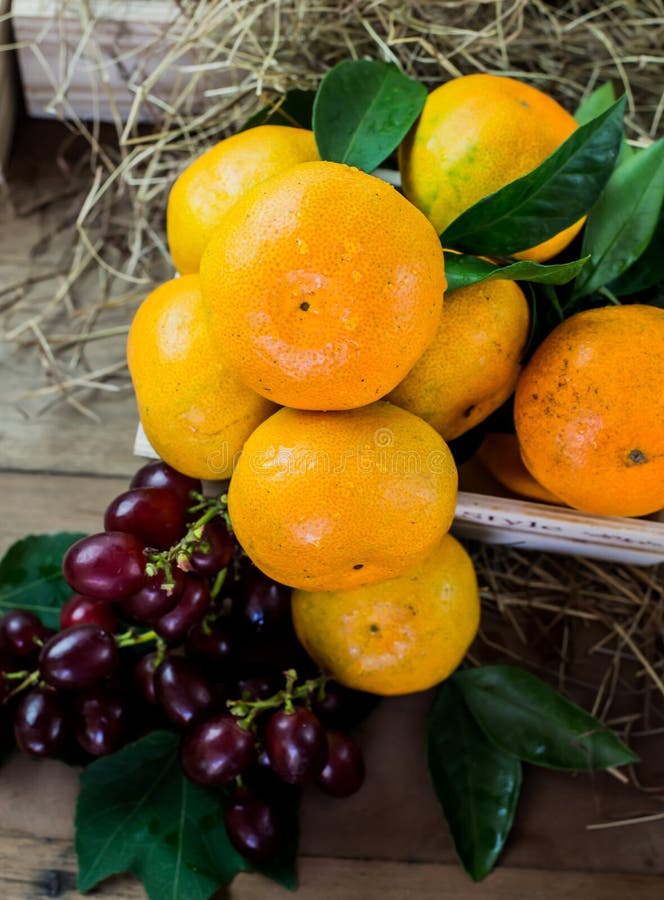Orange and grape stock photo. Image of citrus, fruit - 61683976