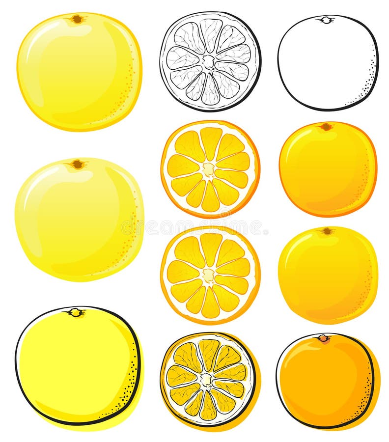 Fruit set stock vector. Illustration of leaf, plum, peach - 6730120