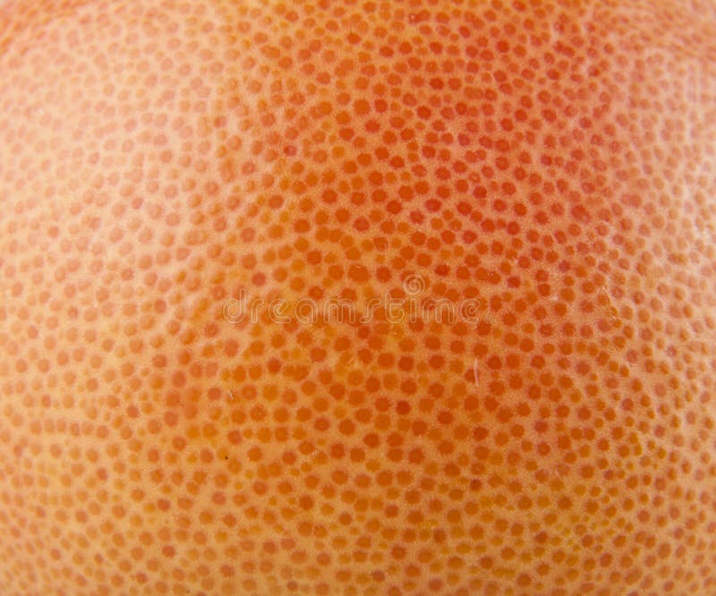 Orange Grapefruit Texture As Background Stock Photo - Image of peel ...