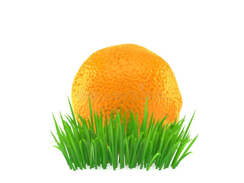 Orange grass stock vector. Illustration of plain, front - 52389910