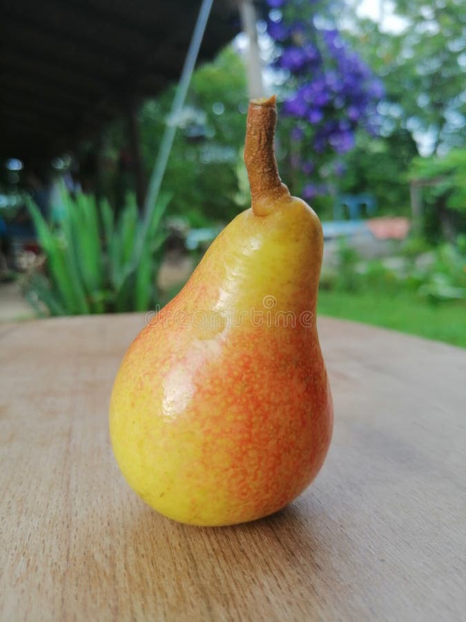 Orange and green pear stock photo. Image of flower, citrus - 190793774