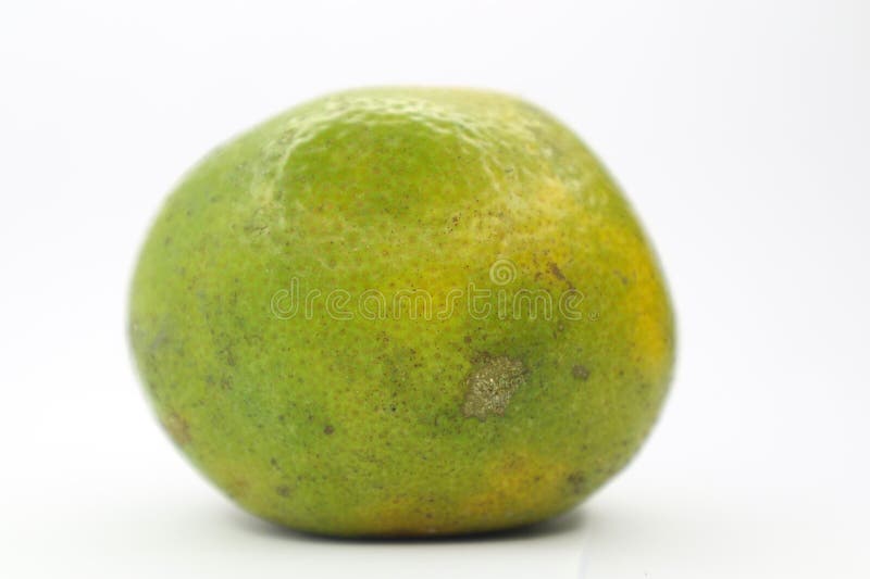 The Orange is Green and Round. Stock Image - Image of single, organic ...