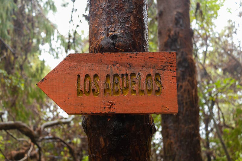 Orange Guide Sign in the Forest 2 Stock Image - Image of label, design ...