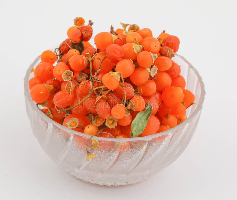 Orange Gunda gumberry stock image. Image of flavor, food - 142690679