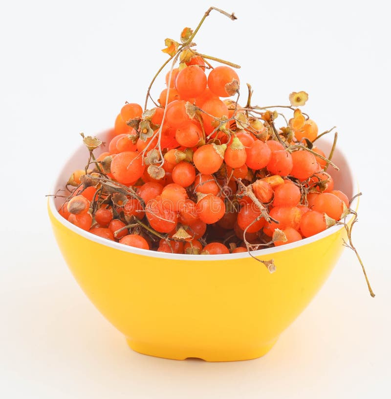 Gunda Pickle Stock Photos - Free & Royalty-Free Stock Photos from ...