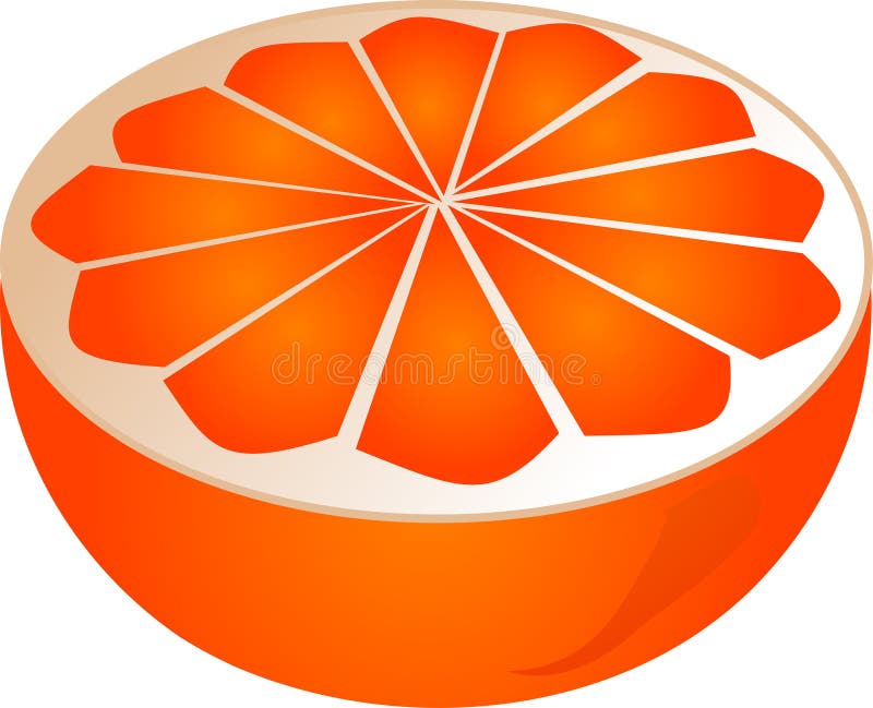Orange half stock vector. Illustration of isometric, slice - 2922367