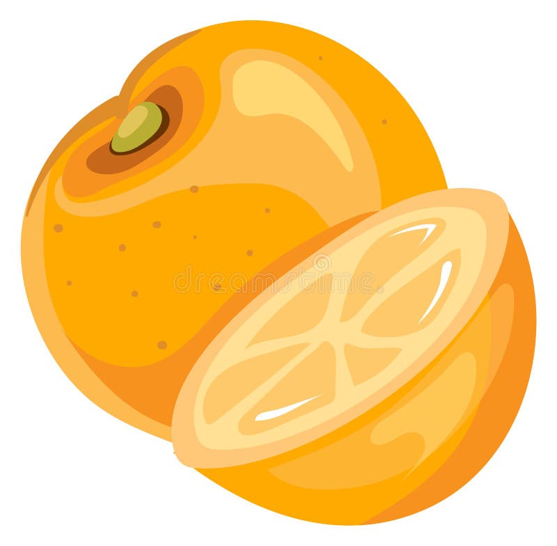 Half Clementine Stock Illustrations – 746 Half Clementine Stock ...