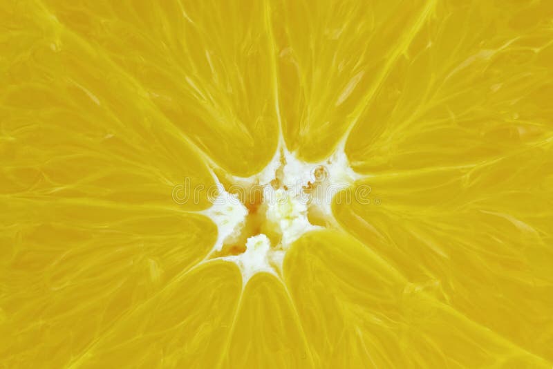 Orange Half Section Closeup. Background, Texture Stock Image - Image of ...