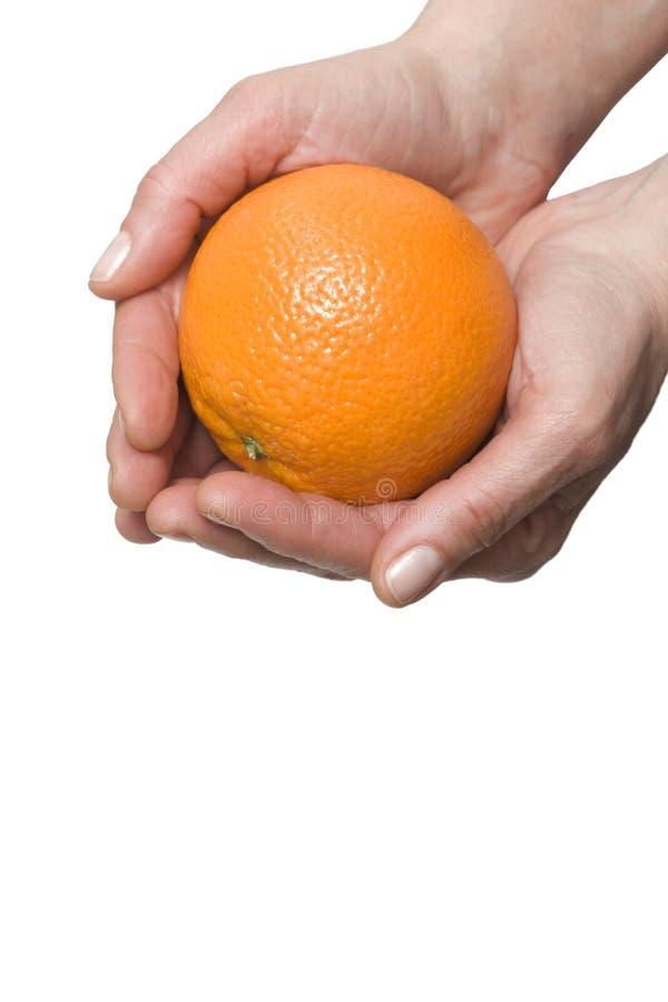 Hands Holding Orange Isolated on White Stock Image - Image of citrus ...