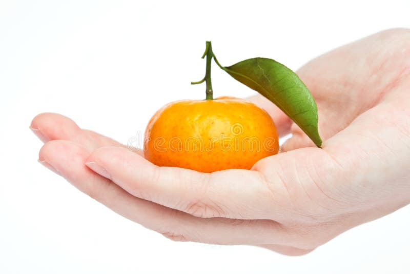 Orange on hand stock photo. Image of elegance, service - 23766308