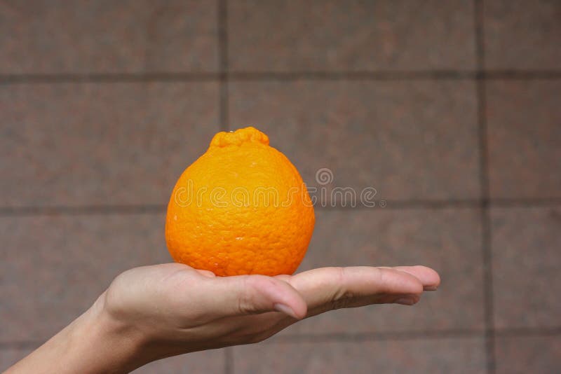 Orange on hand stock photo. Image of healthy, yellow - 59178656