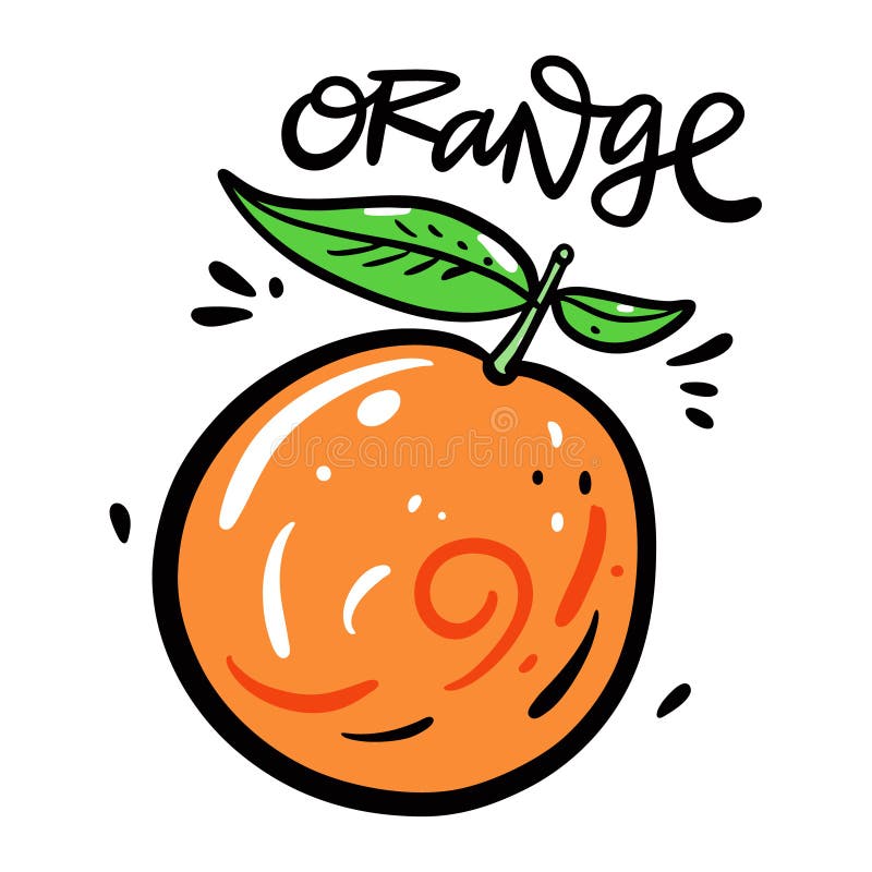 Orange Hand Drawn Vector Illustration and Lettering. Isolated on White ...