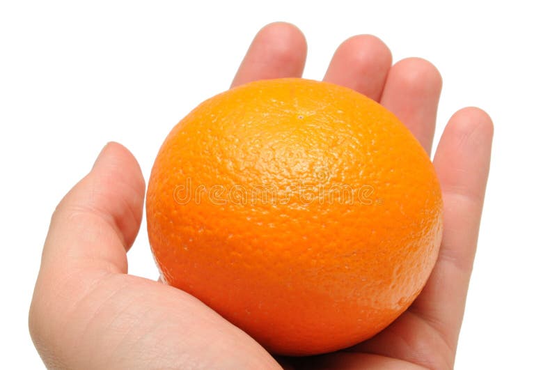 Orange in hand stock image. Image of orange, fruit, tangelo - 42959309